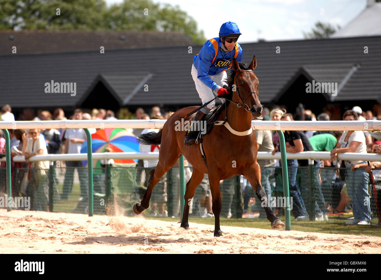 Roderick hi-res stock photography and images - Alamy