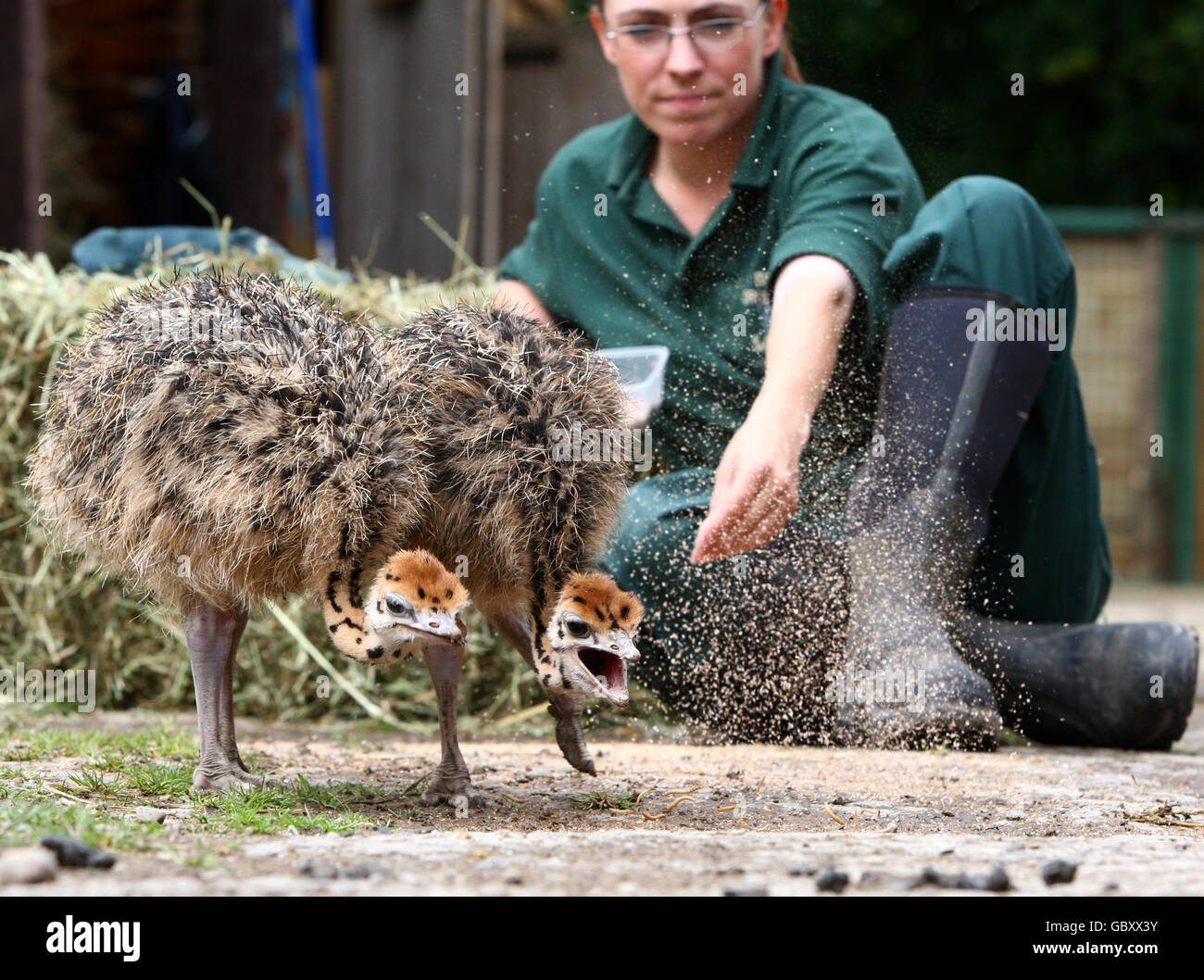 Claire chick hi-res stock photography and images - Alamy