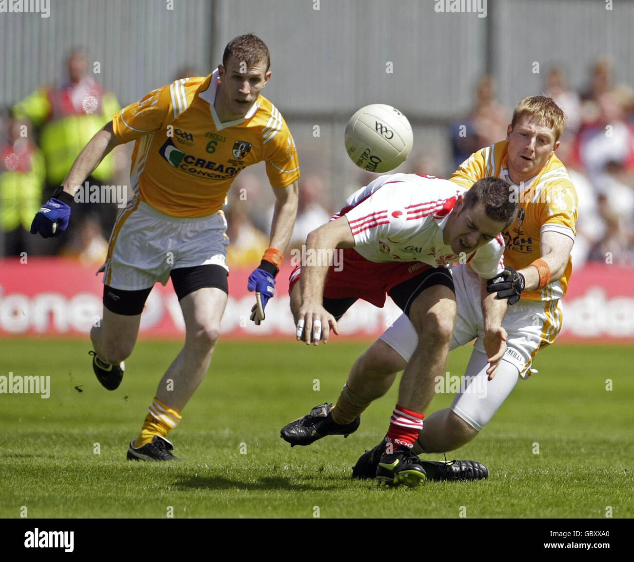 Philip terry hi-res stock photography and images - Alamy