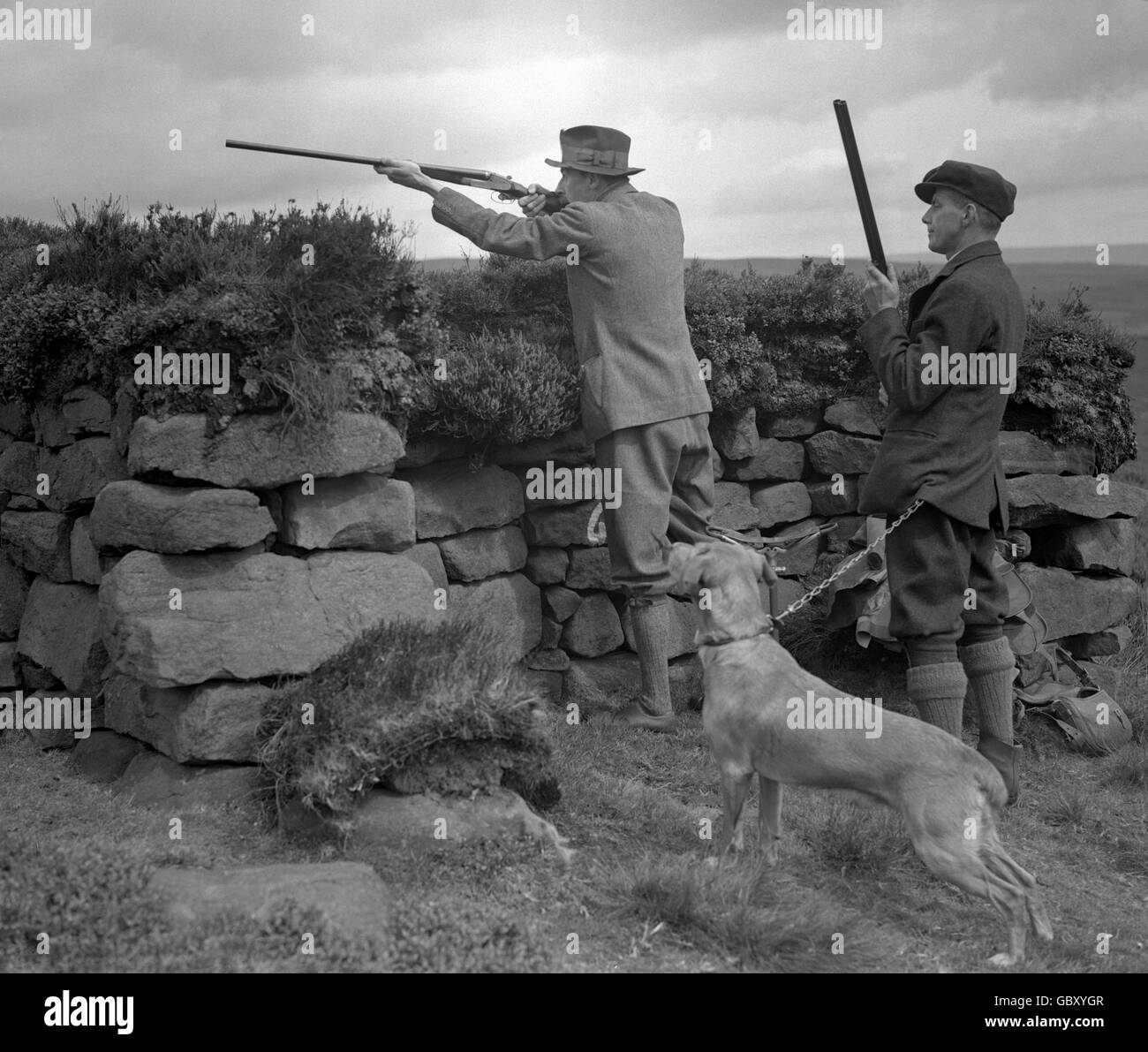 Grouse Butts High Resolution Stock Photography and Images - Alamy