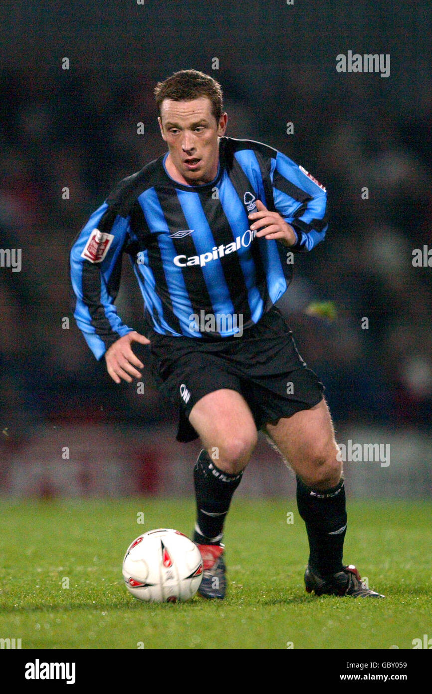 Alan rogers forest hi-res stock photography and images - Alamy