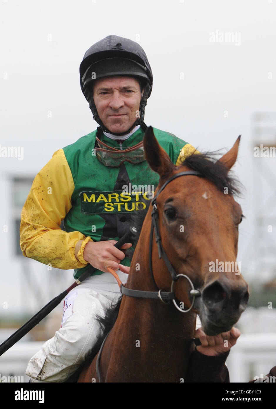 Our Dream Queen and jockey Michael Hills after their win in the E.B.F ...