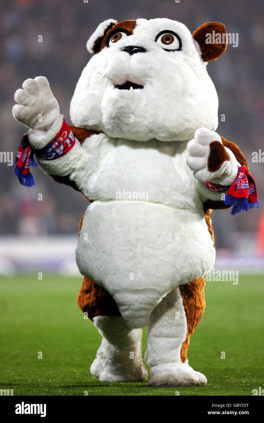 Churchill the dog hi-res stock photography and images - Alamy