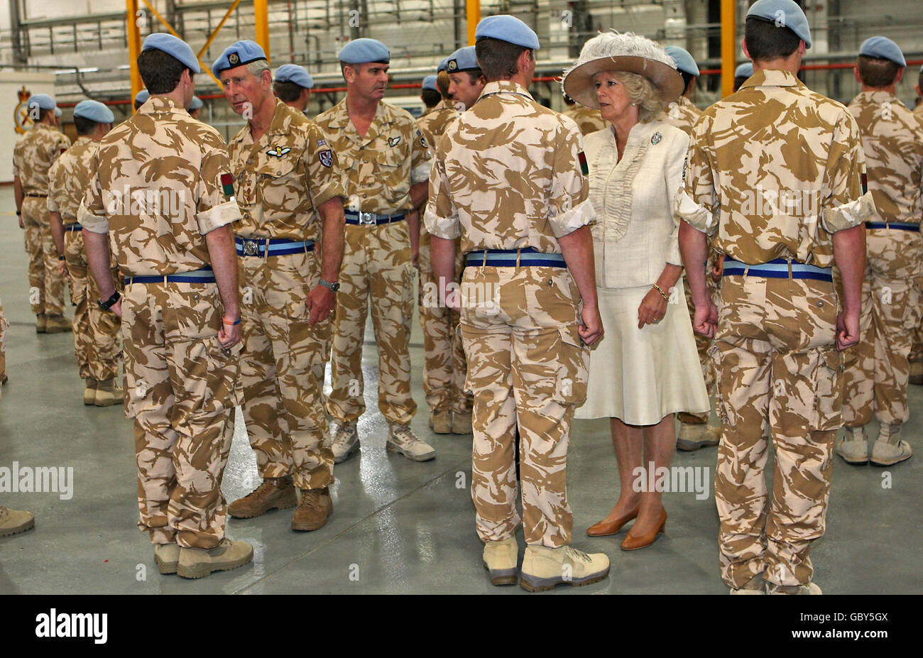 The Prince of Wales, Colonel in Chief the Army Air Corps and the ...