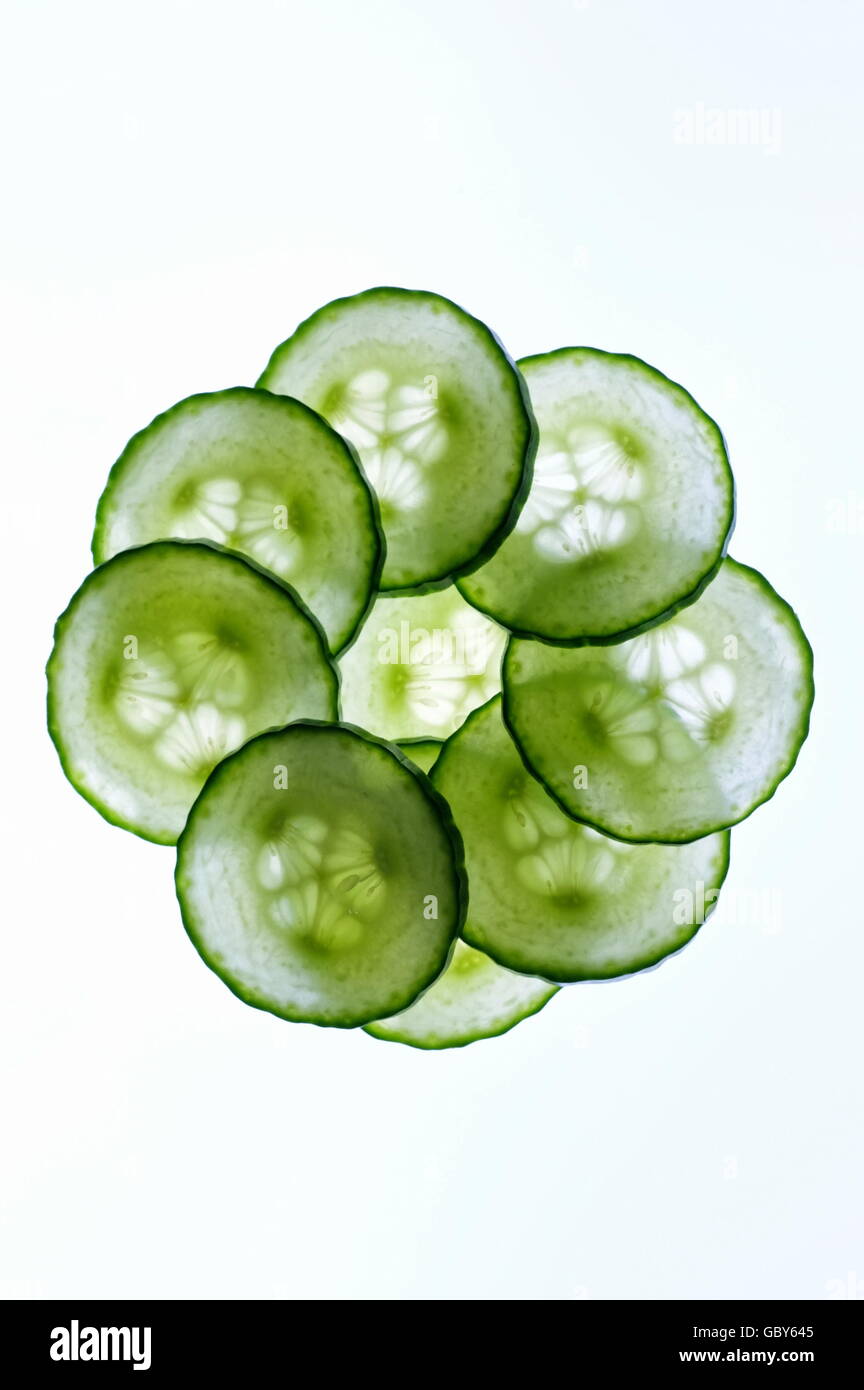 A back lit rosette of sliced cucumbers on a white background Stock ...