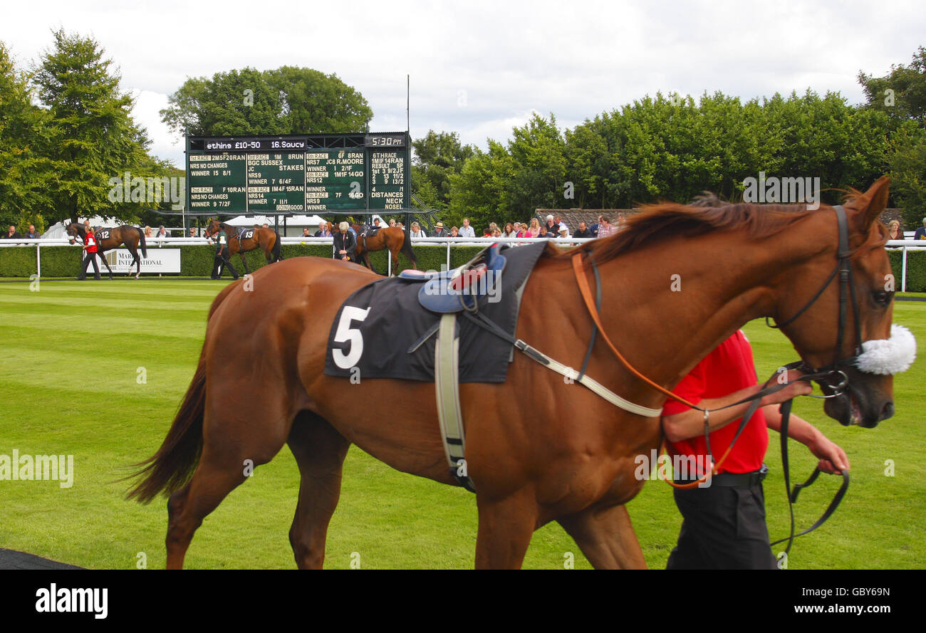 Horses for the Country Life Magazine EBF Fillies' and Mares' Stakes ...