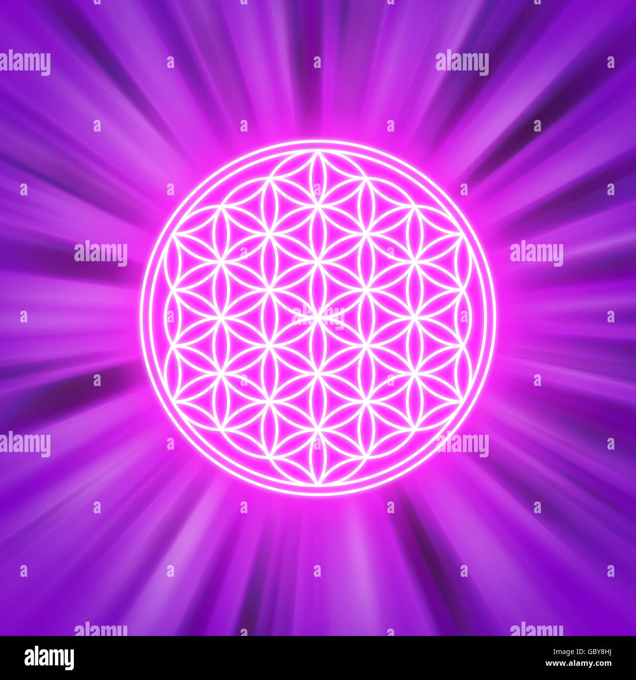 Bright Flower of Life on pink light rays. Spiritual symbol and Sacred ...