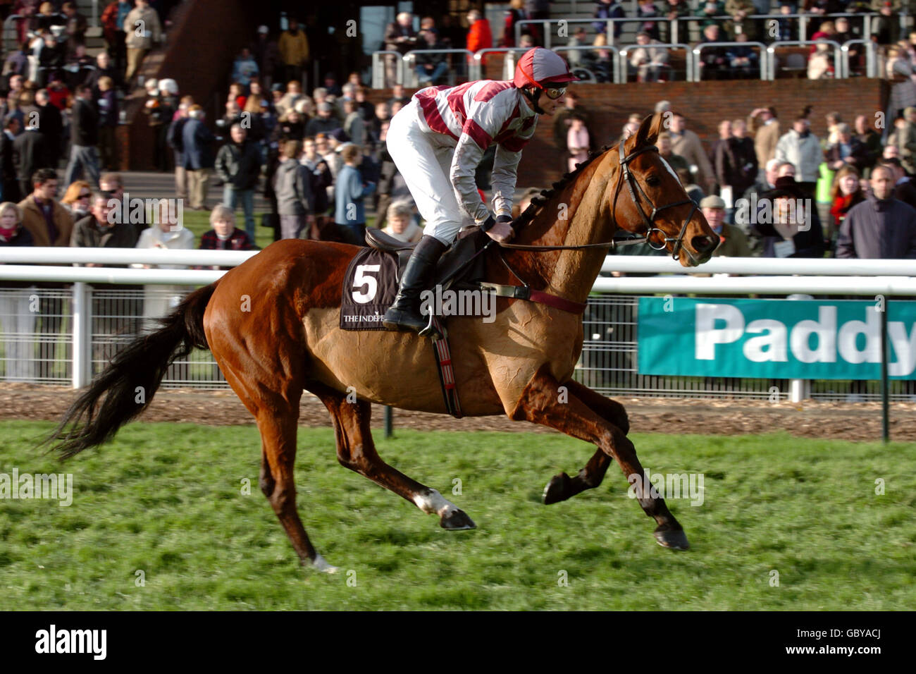 Horse Racing - Cheltenham Races Stock Photo - Alamy