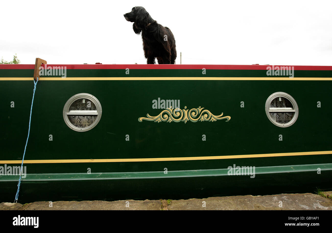 Canal Boat Stock Stock Photo - Alamy