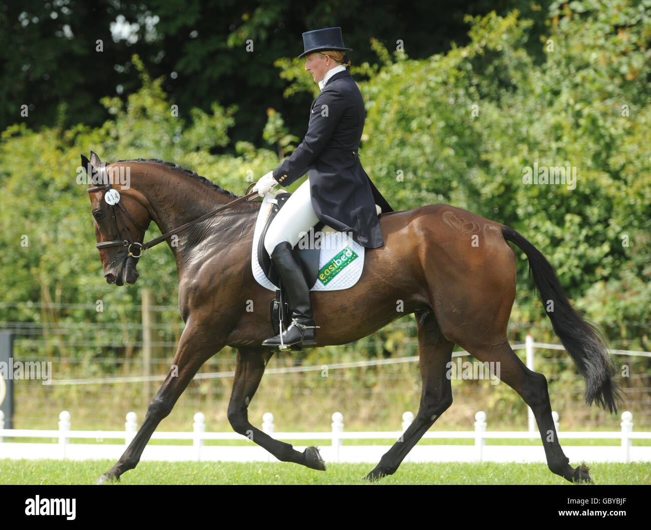 Horse gatcombe6 hi-res stock photography and images - Alamy