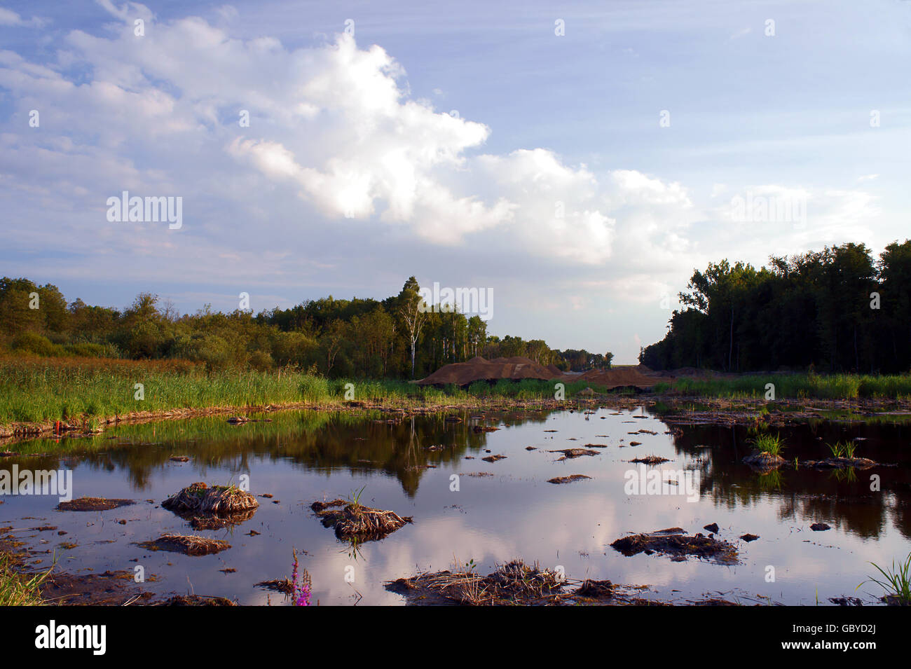 swamp and road construction in Poland Stock Photo - Alamy