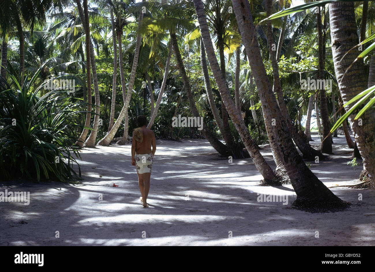 geography / travel, Maldives, landscapes, tourist in a palm tree forest ...