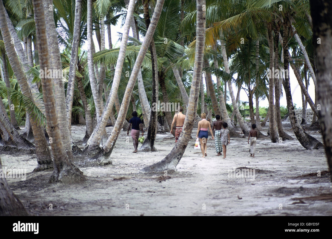 geography / travel, Maldives, landscapes, tourists in a palm tree ...