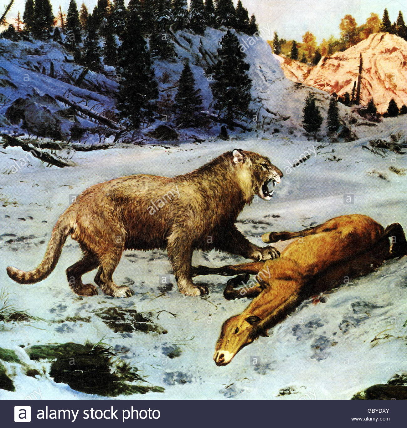 Pleistocene Period Stock Photos & Pleistocene Period Stock Images - Alamy