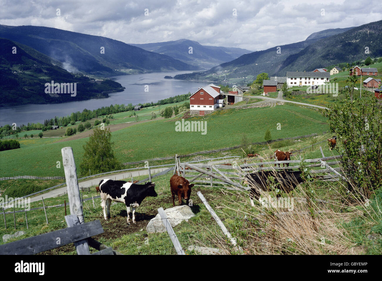 Fretten hi-res stock photography and images - Alamy