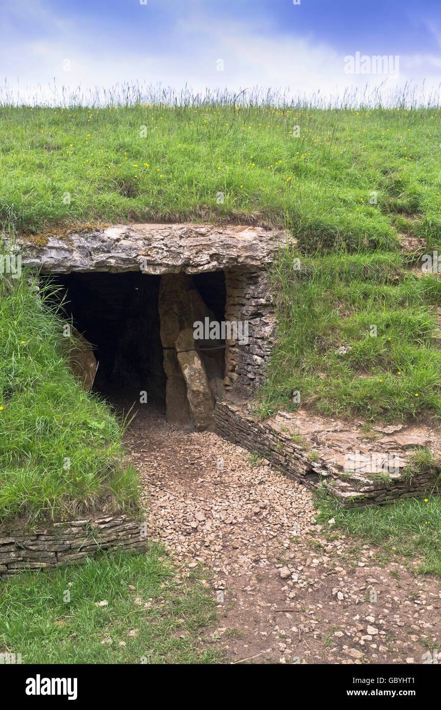 dh Cleeve Hill COTSWOLDS GLOUCESTERSHIRE Belas Knapp Stone Age long ...