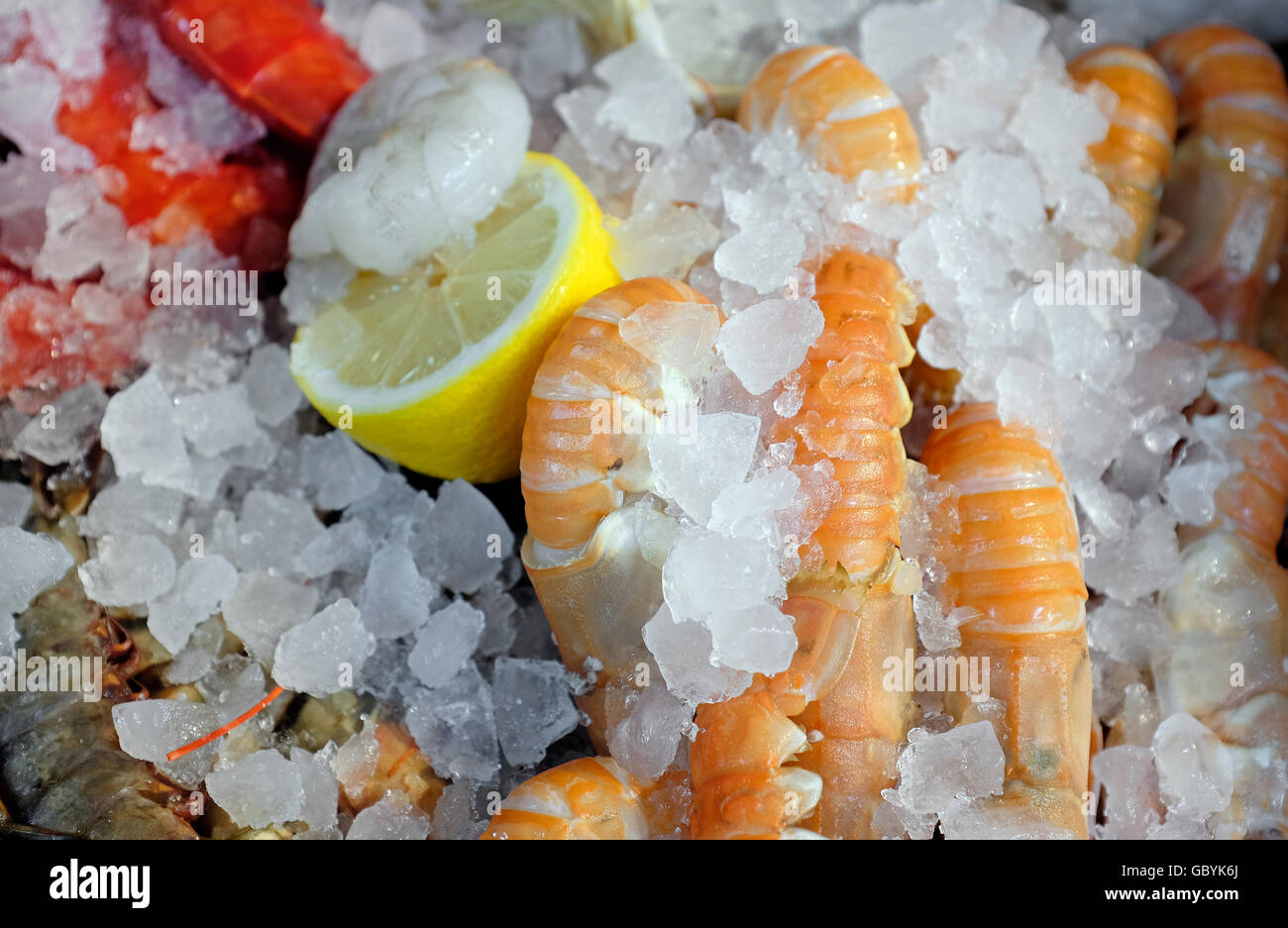 cooked prawns laying in ice with lemon Stock Photo - Alamy