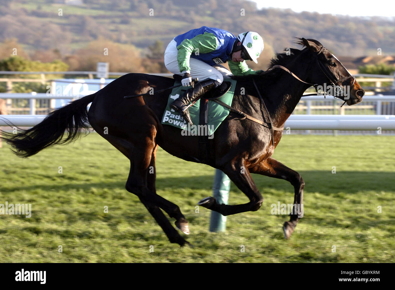 Horse Racing - Cheltenham Races. Timmy Murphy on celestial Gold on ...