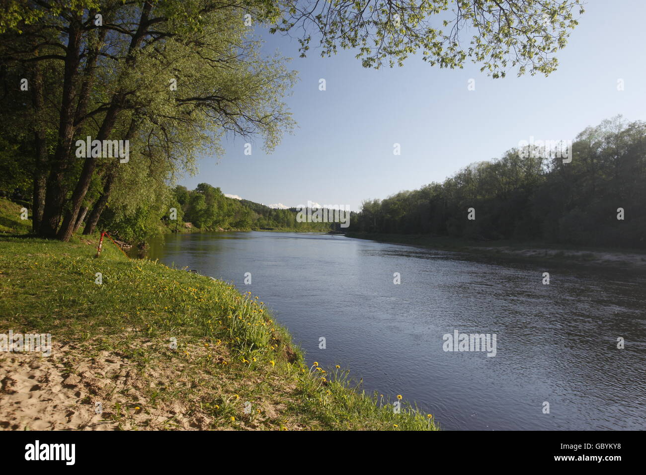 the gauja river near the town of sigulda near city of riga in latvia in ...