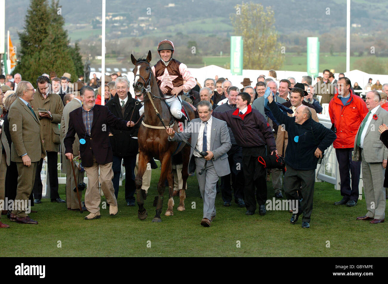 Horse Racing - Cheltenham Races Stock Photo - Alamy