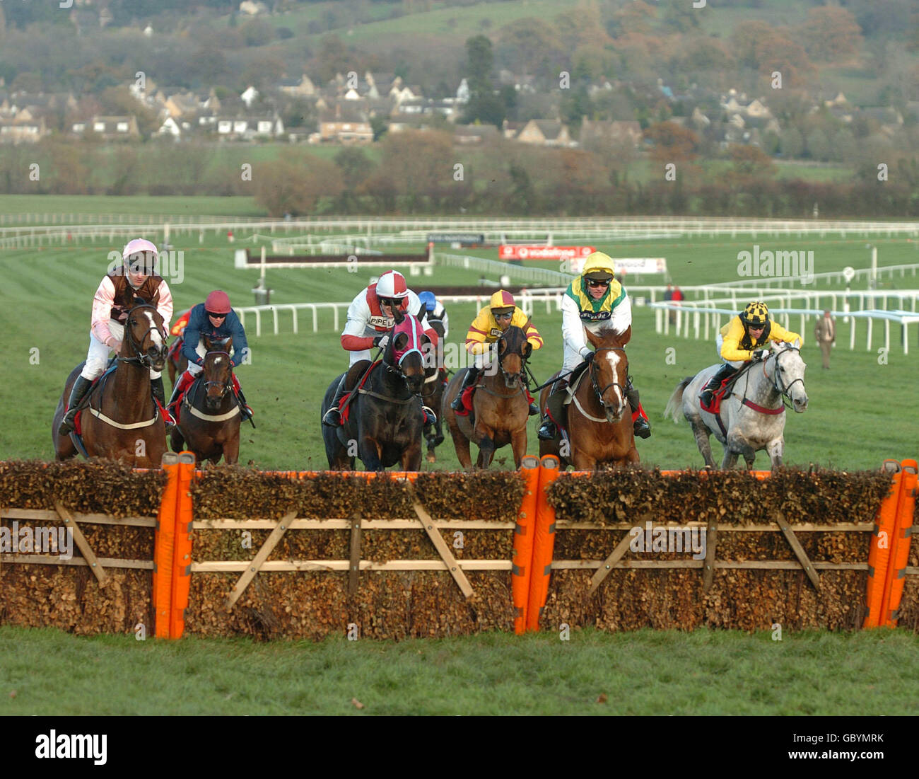 Horse Racing - Cheltenham Races Stock Photo - Alamy