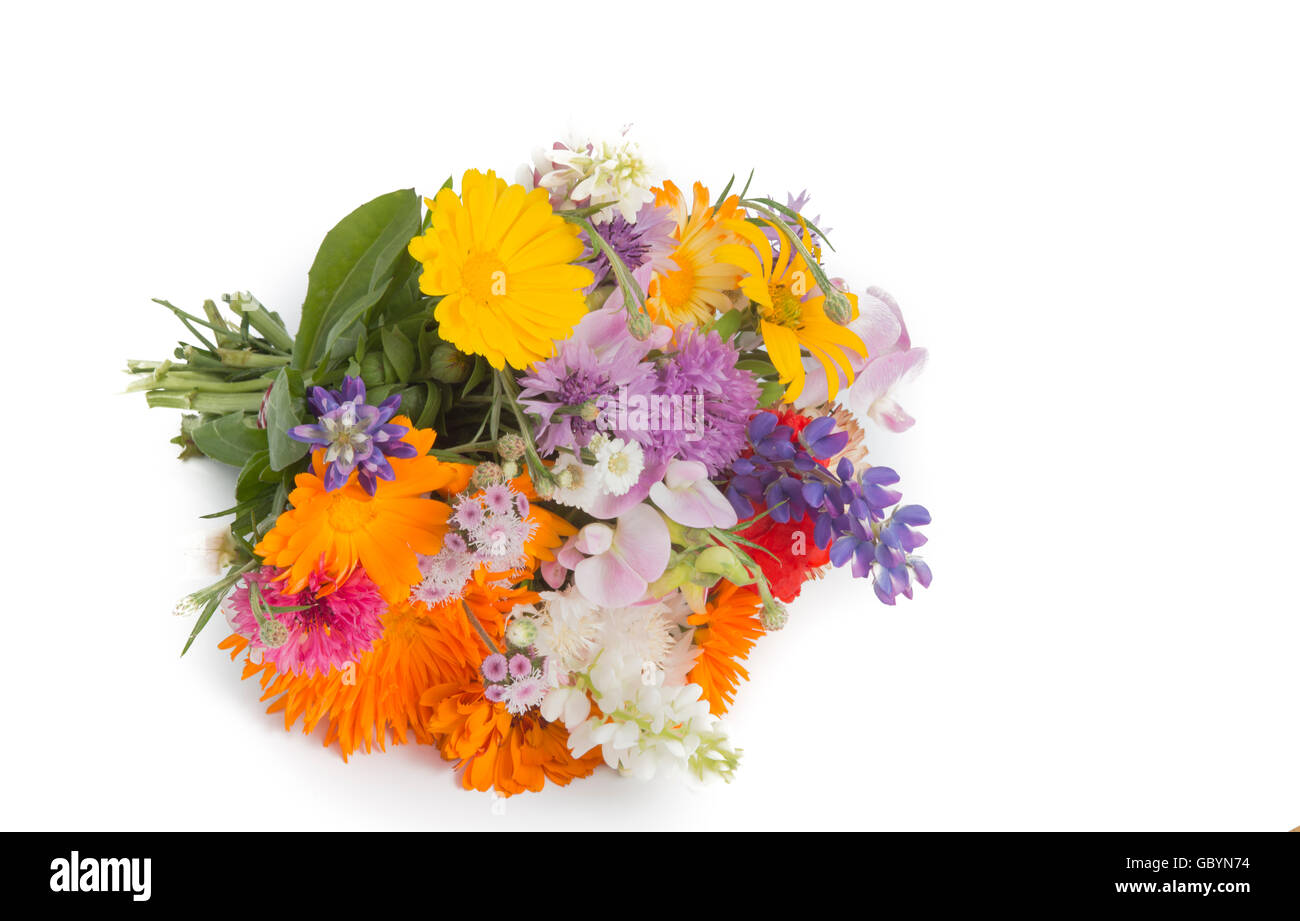 summer flower bouquet with tag islolated on white background Stock ...