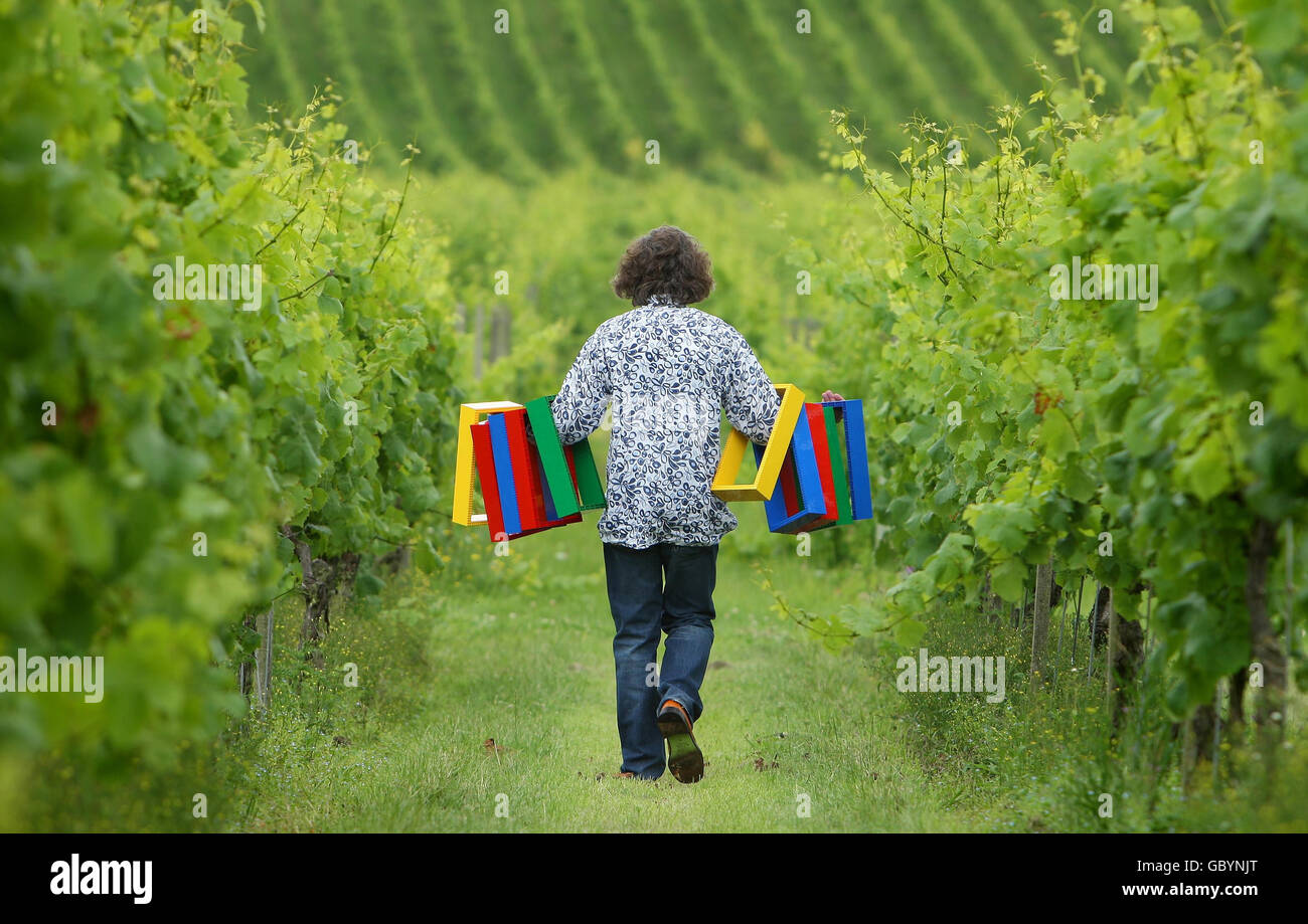 James May carries lego bricks through a vineyard at the Denbies Wine ...