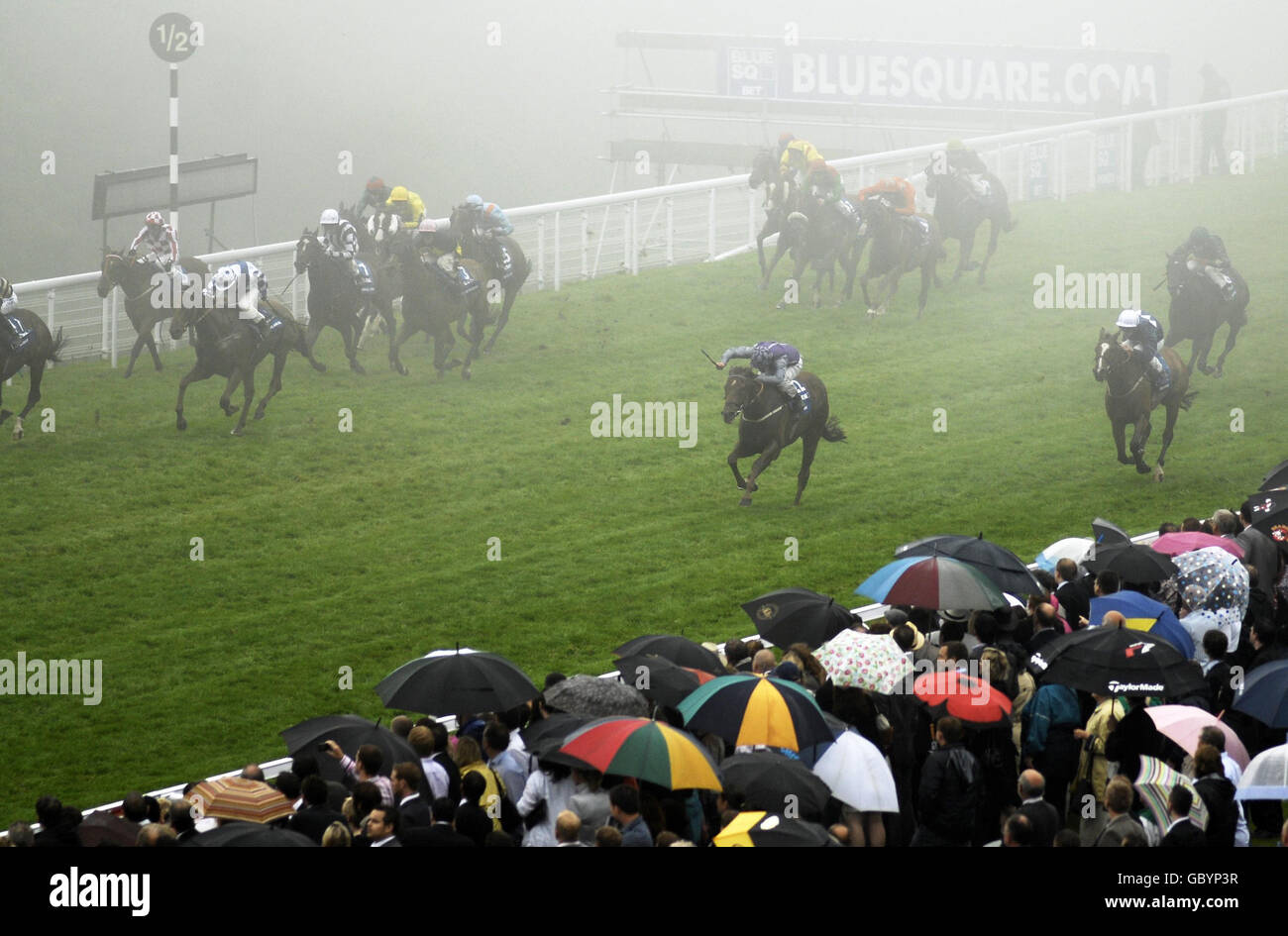 Goodwood racecourse above hi-res stock photography and images - Alamy