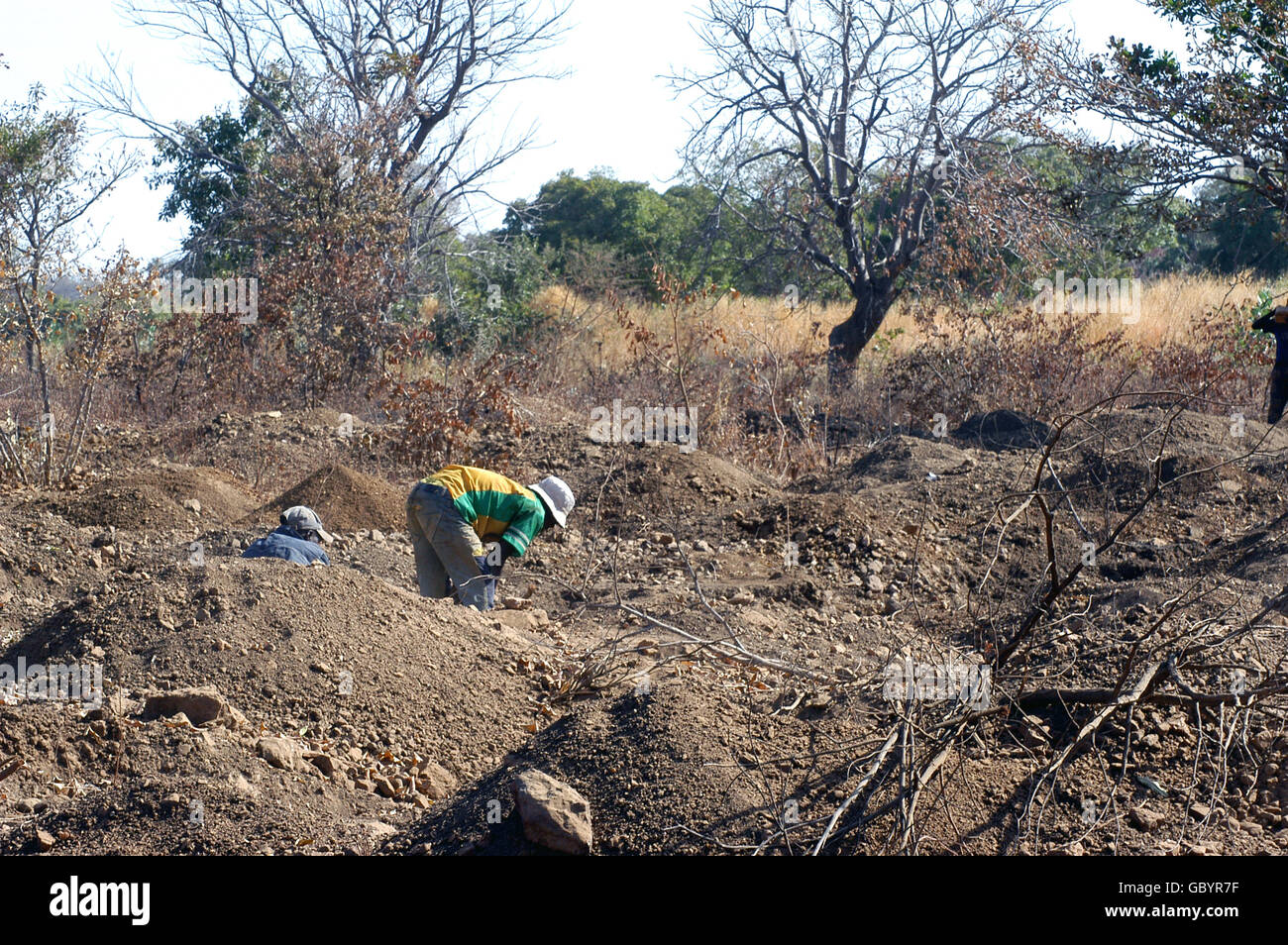 mine in wild golden Poura gold diggers come from everywhere to dig for ...