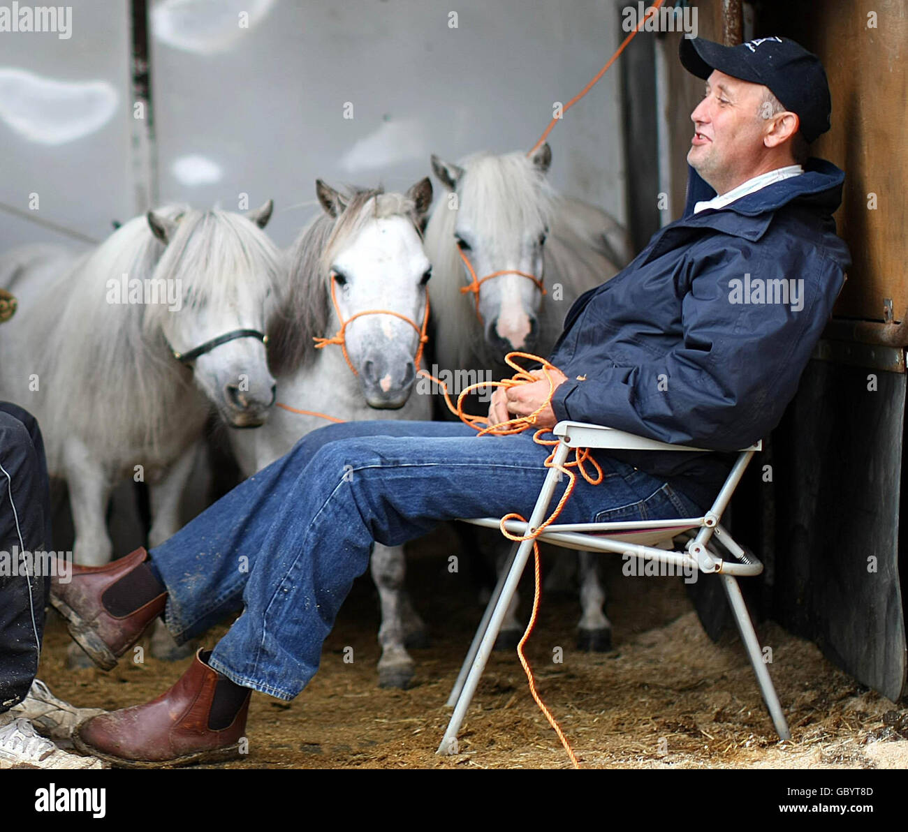 A man sits with three ponies in the back of a horse box at the Annual ...