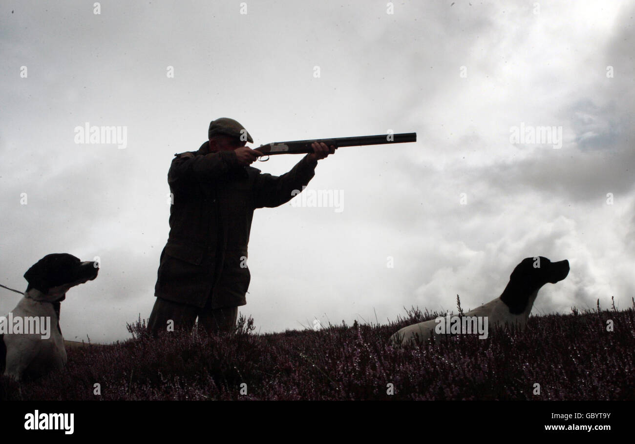 Ian Elliot, Grouse Keeper at Horseupcleugh and Pointing dogs, on the ...