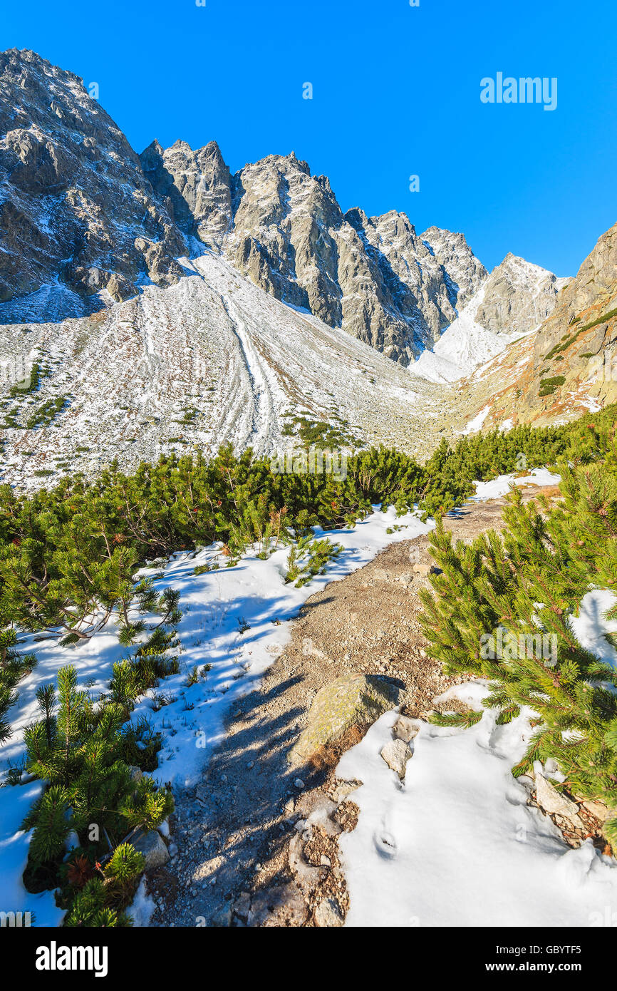 Hiking trail among snow hi-res stock photography and images - Alamy