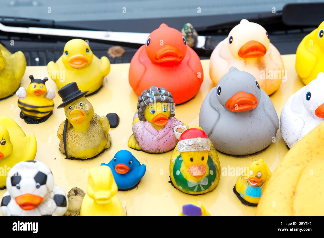 Rubber ducks collection hi-res stock photography and images - Alamy