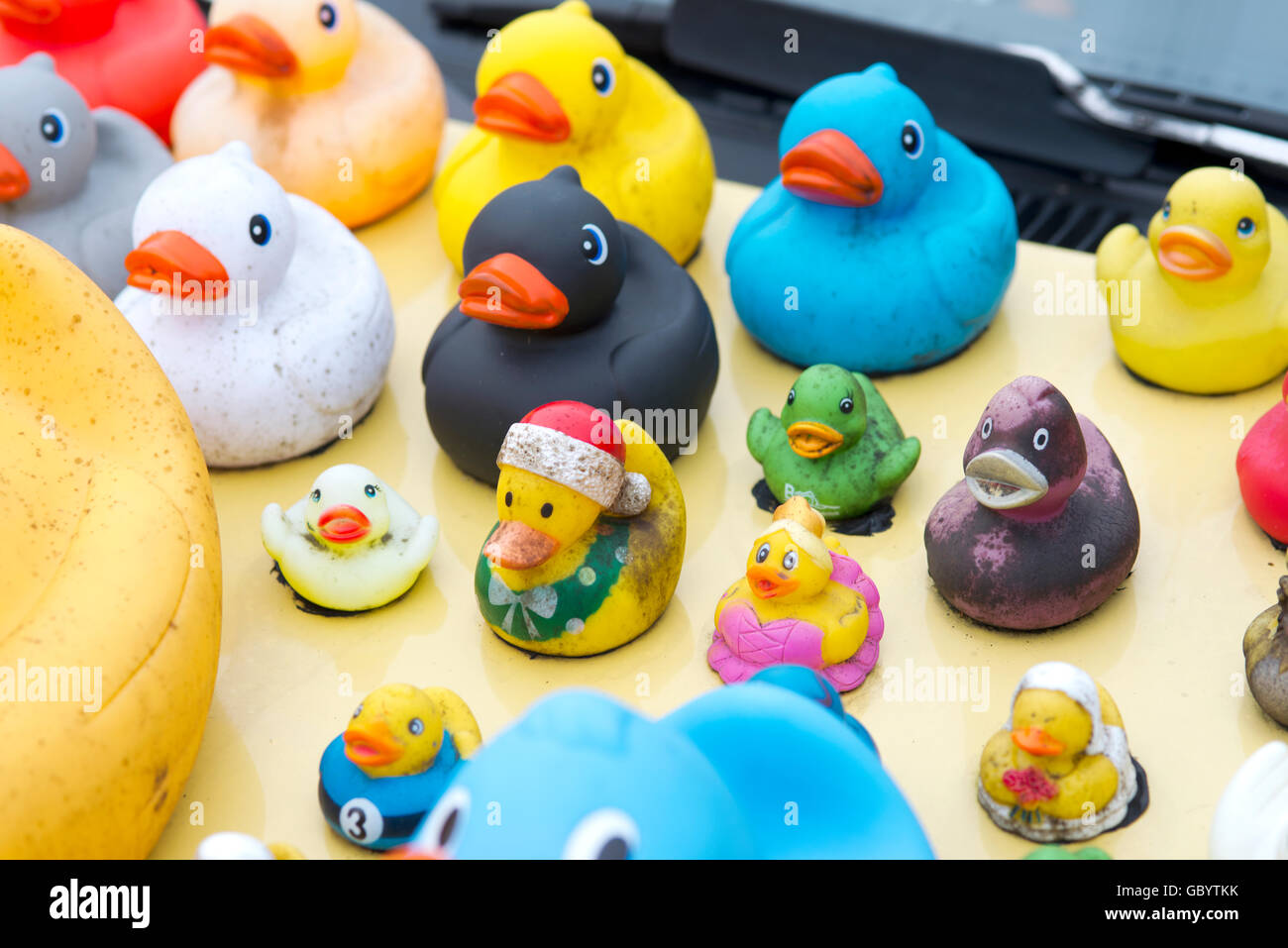 Rubber Ducks Collection High Resolution Stock Photography and Images ...