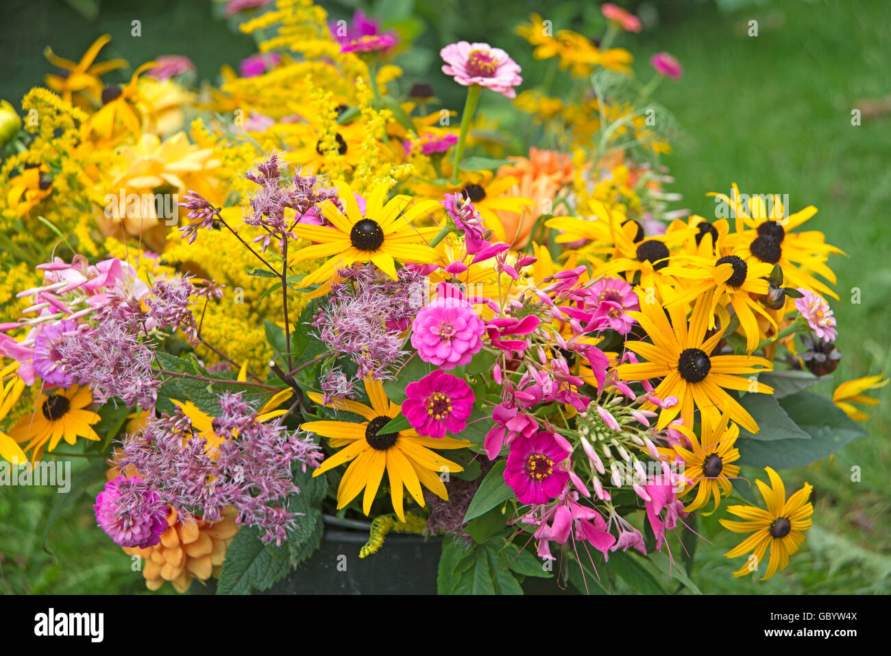 fresh picked flowers for autumn flower garden bouquet Stock Photo - Alamy