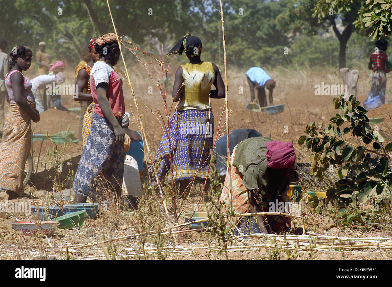 mine in wild golden Poura gold diggers come from everywhere to dig for ...