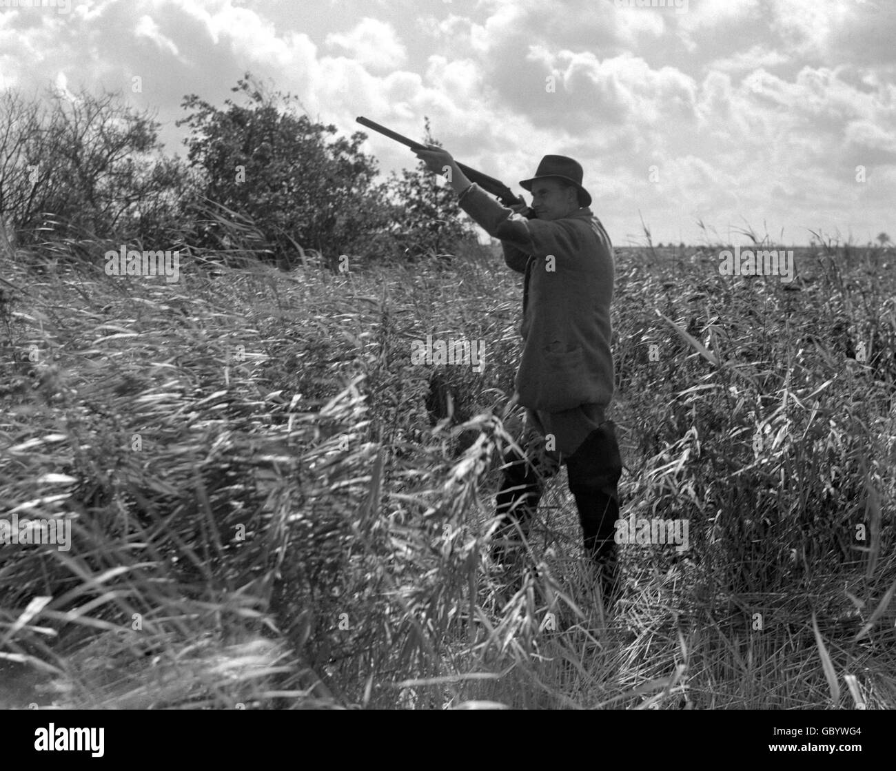 Duck Shooting - Norfolk Broads. Jack Mallabar at a duck shoot on the ...
