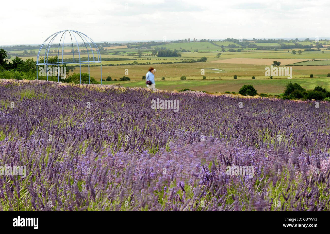 Howardian hills hi-res stock photography and images - Alamy