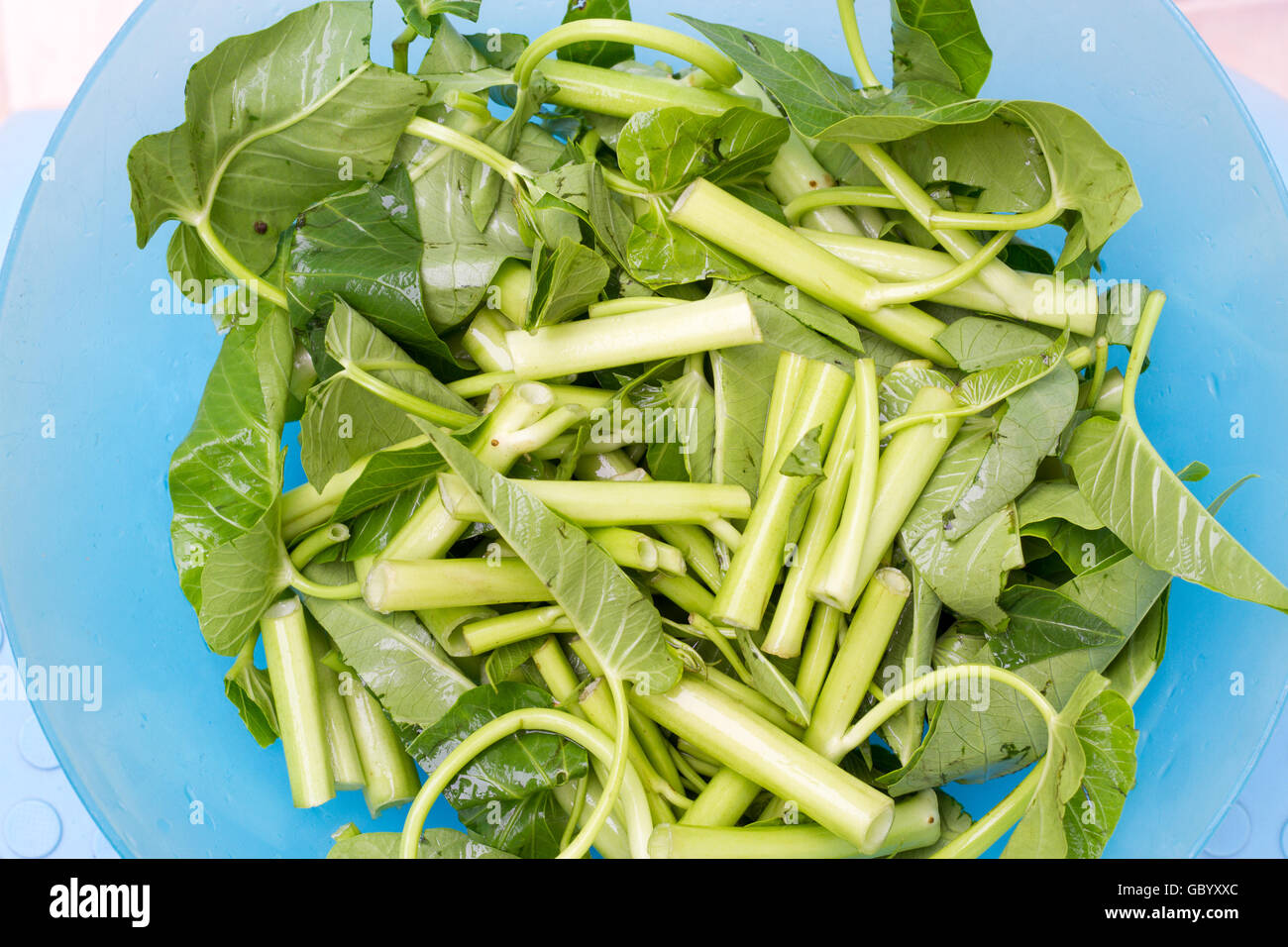 water spinach : Ipomoea aquatica is a semiaquatic, tropical plant grown ...