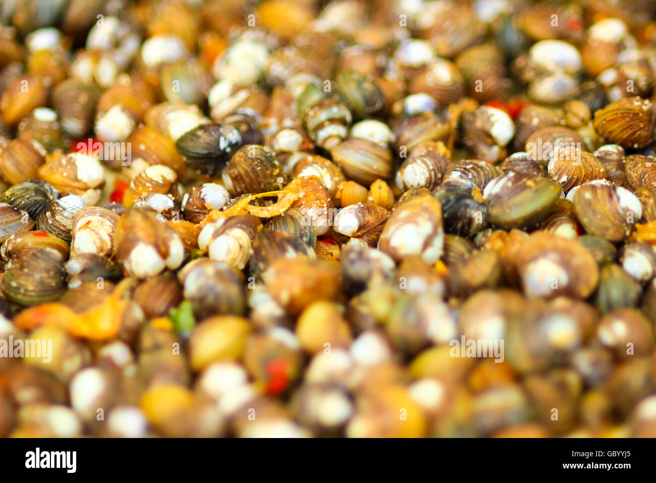raw clams close up,selection focus Stock Photo - Alamy