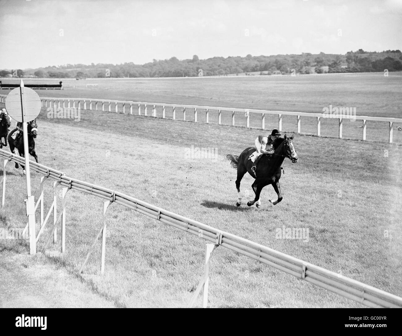 Horse Racing - The Lockinge Stakes - Newbury Stock Photo - Alamy