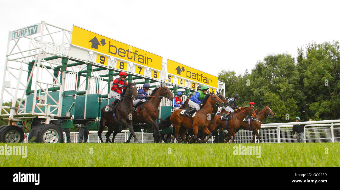 Goodwood racing stalls hi-res stock photography and images - Alamy