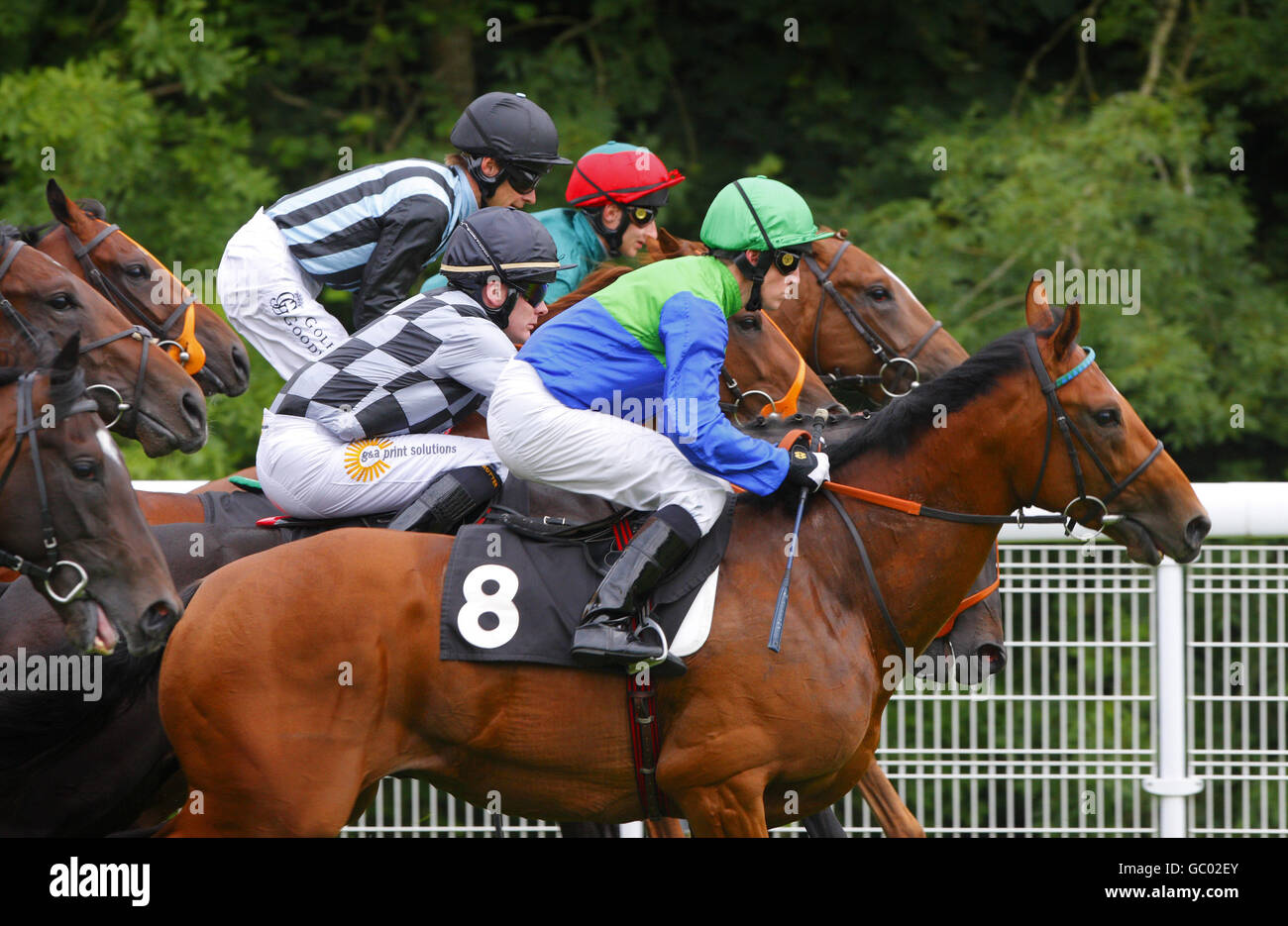 Goodwood racing stalls hi-res stock photography and images - Alamy