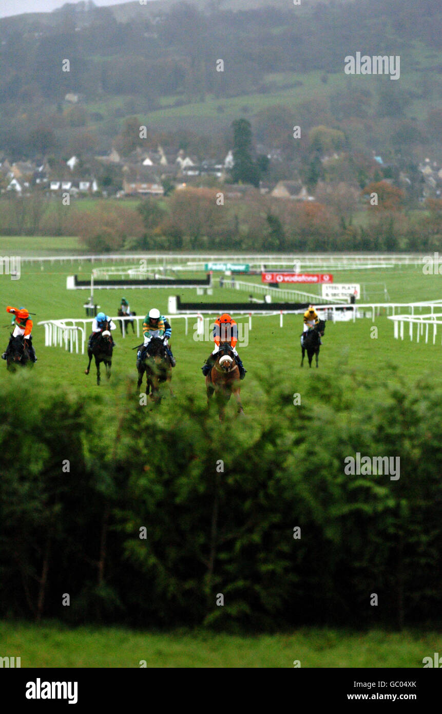 Horse Racing - Cheltenham Races Stock Photo - Alamy