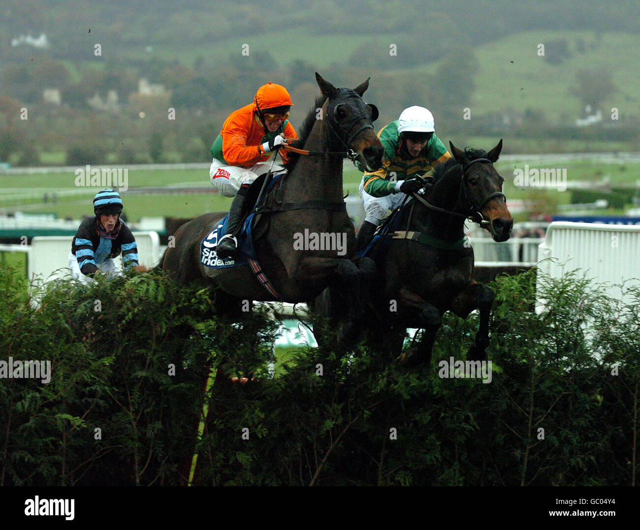 Horse Racing - Cheltenham Races Stock Photo - Alamy