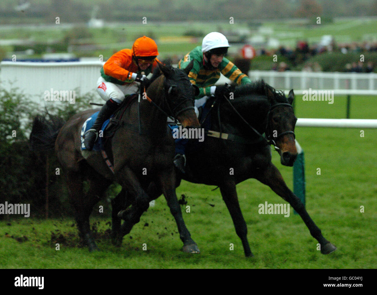 Horse Racing - Cheltenham Races Stock Photo - Alamy