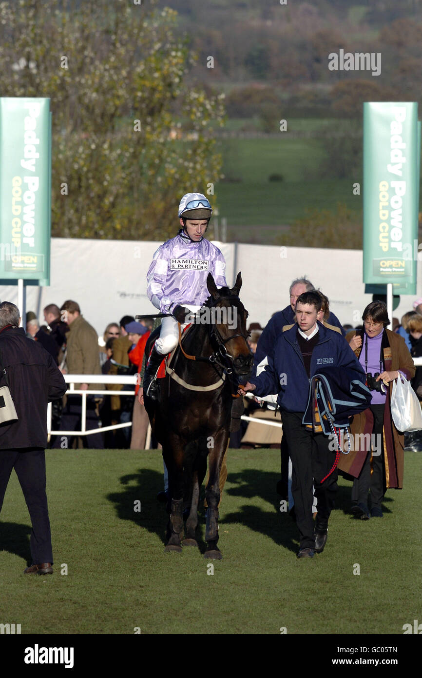 Horse Racing - Cheltenham Races Stock Photo - Alamy