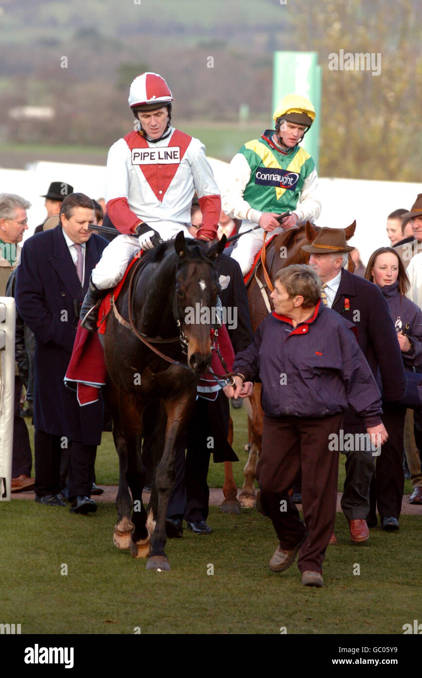 Horse Racing - Cheltenham Races Stock Photo - Alamy