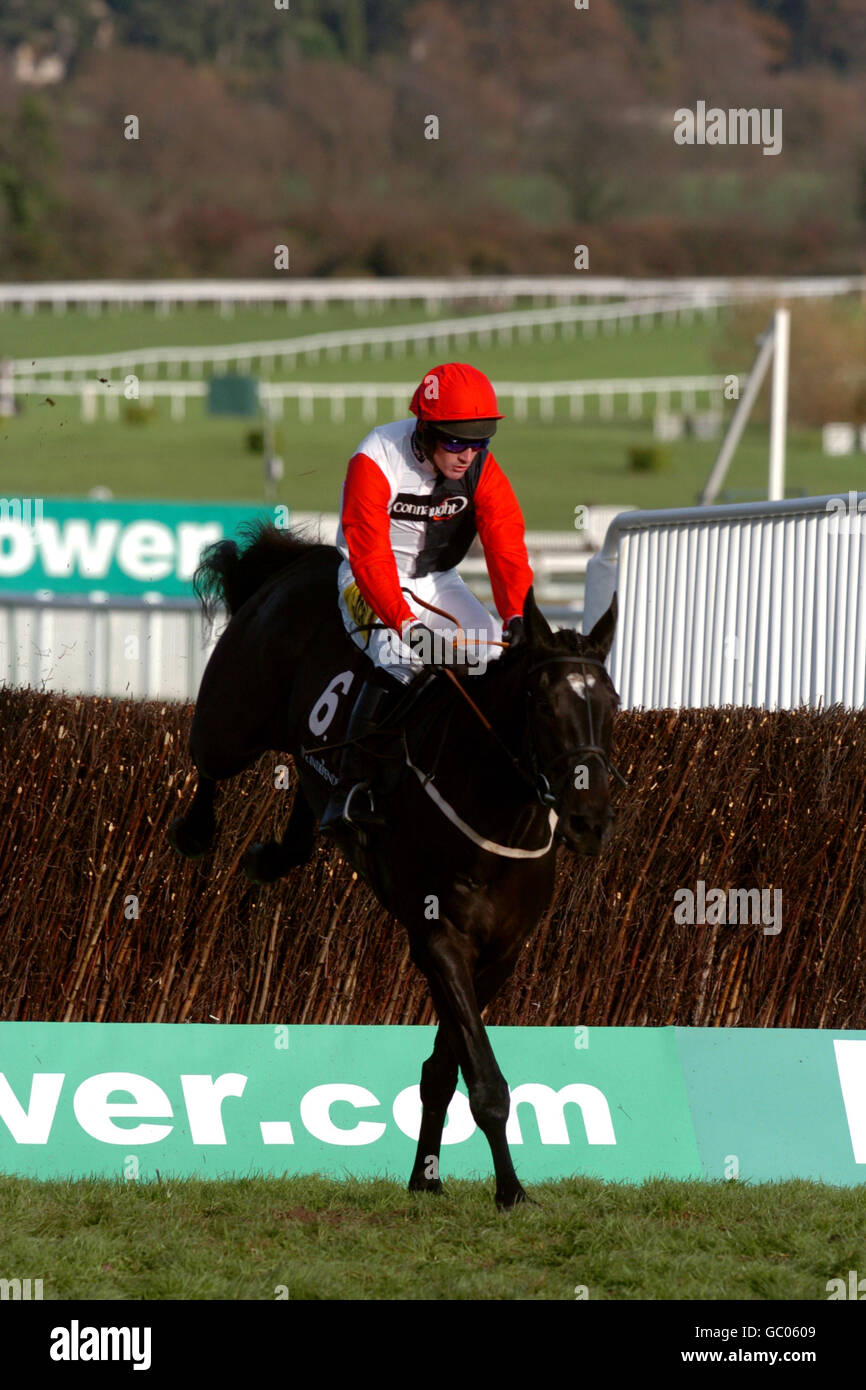 Horse Racing - Cheltenham Races Stock Photo - Alamy