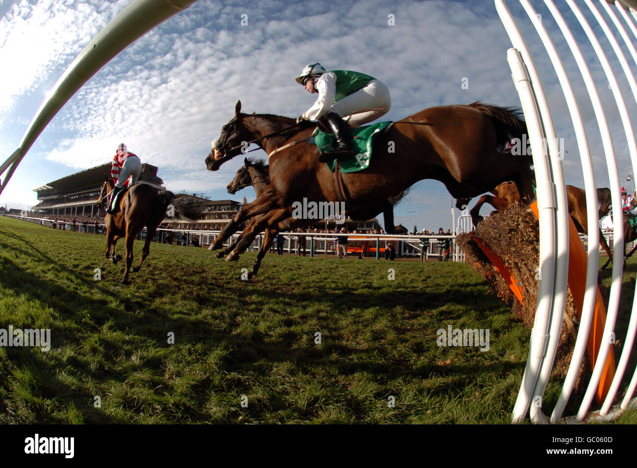 Dennis o'regan horse racing hi-res stock photography and images - Alamy